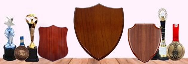 More Than Just a Piece of Wood: The Meaning Behind Award Plaques ...